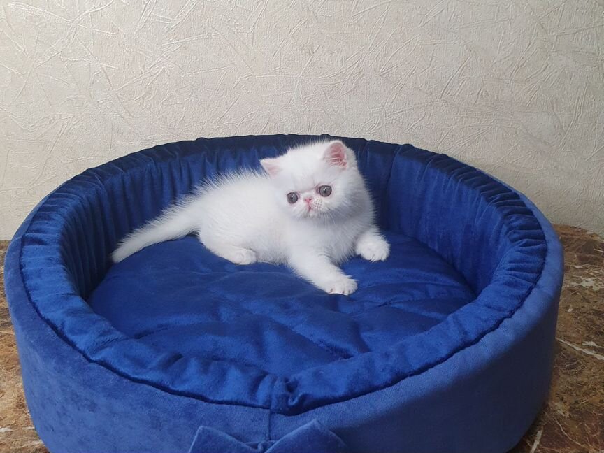 Малыш Каспер