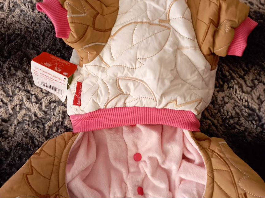 Одежда для собак