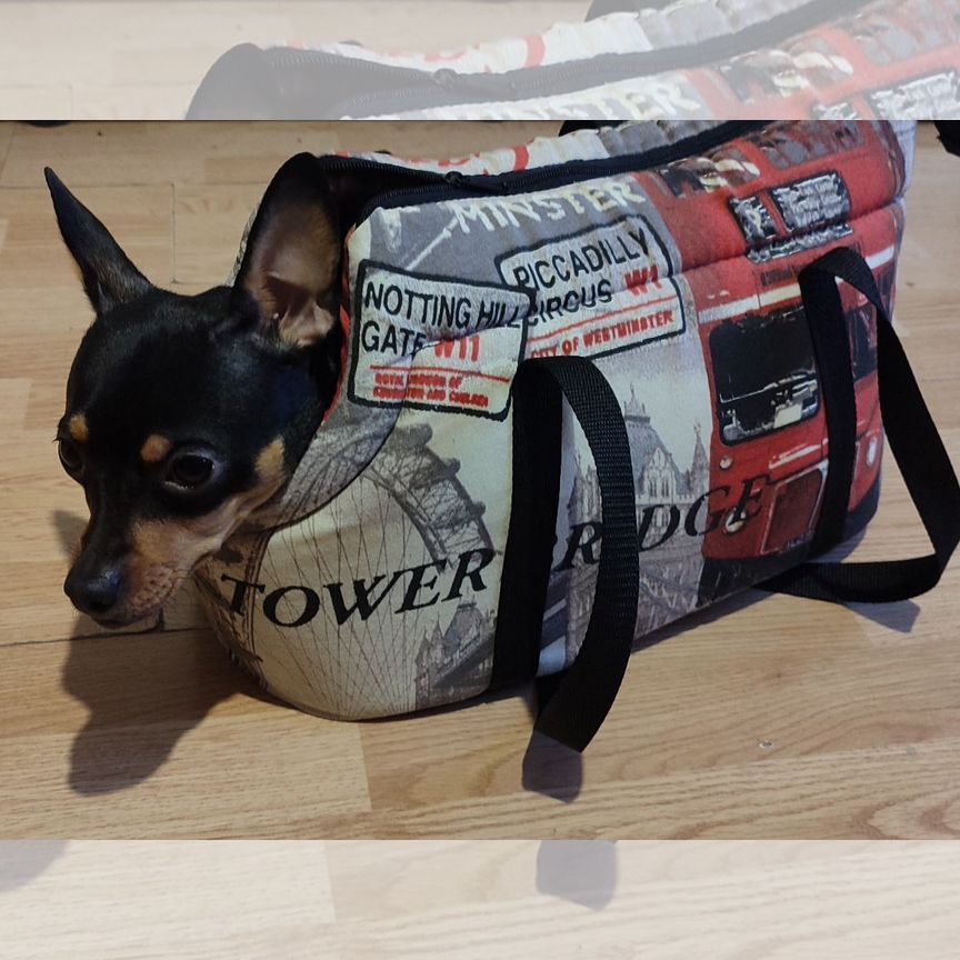 Сумка для маленьких собак