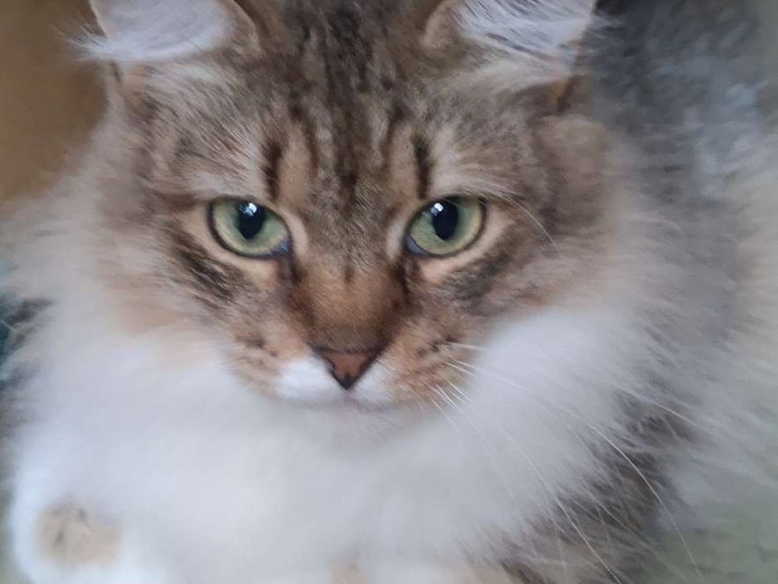 Неужели возьмёш