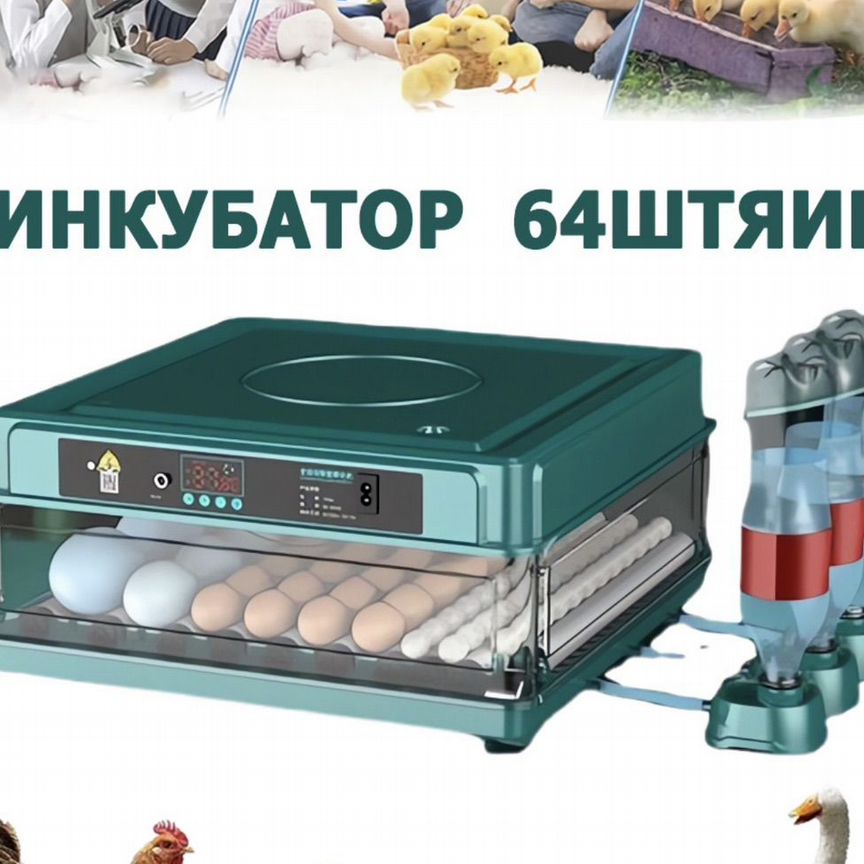 Инкубатор для яиц автоматический