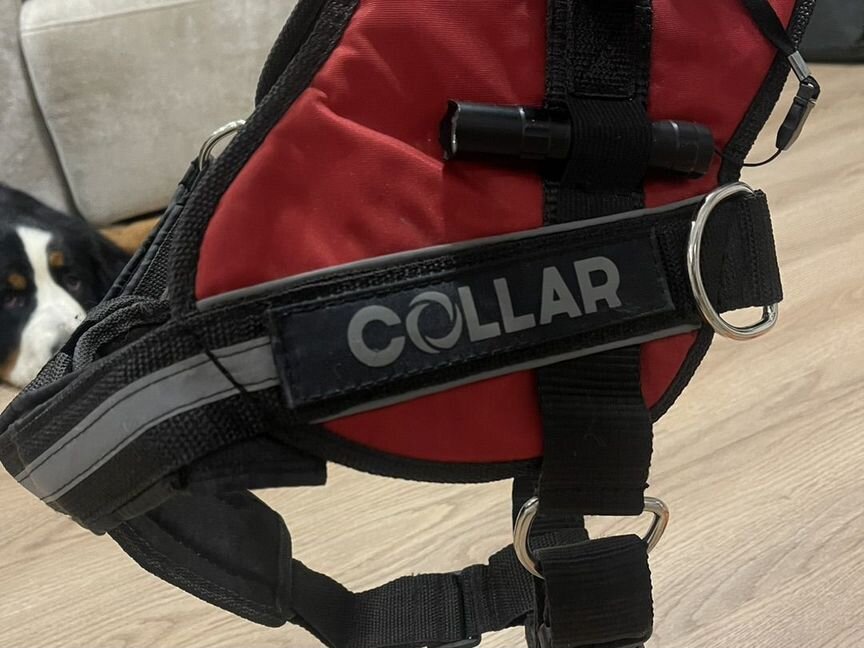 Шлейка для собаки Collar