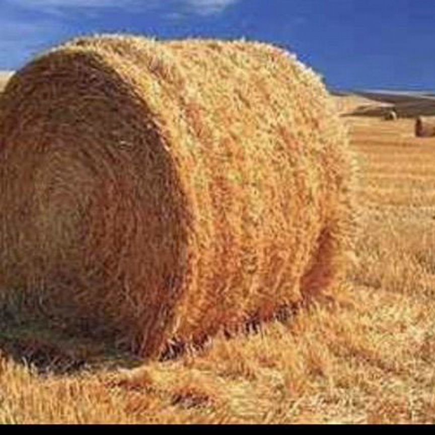 Солома в рулонах