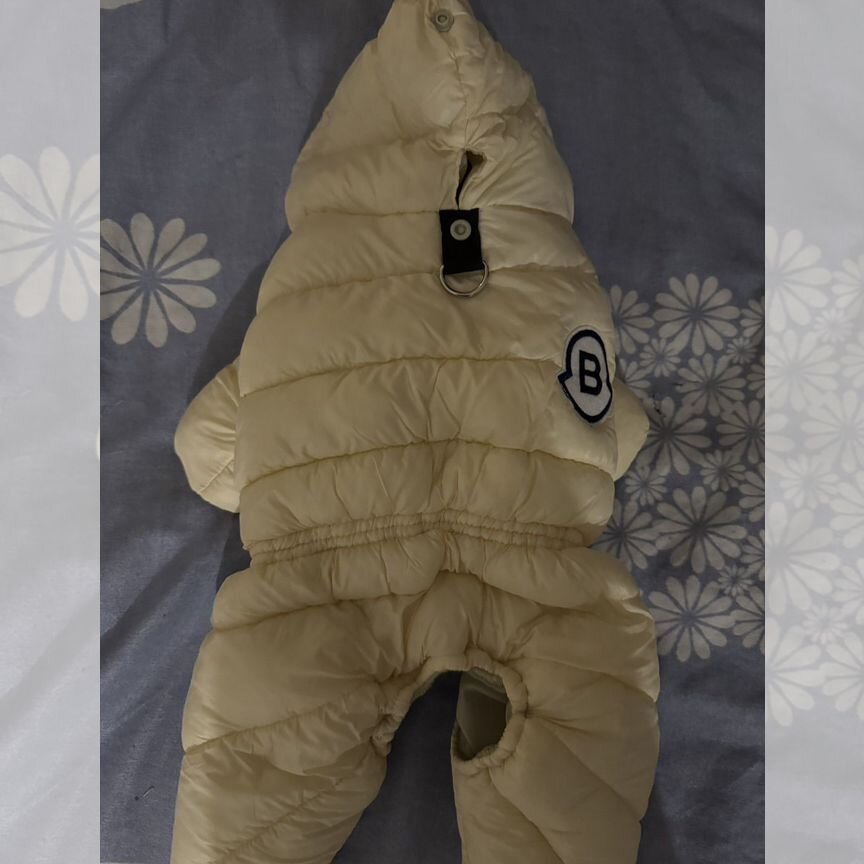 Костюм для собаки