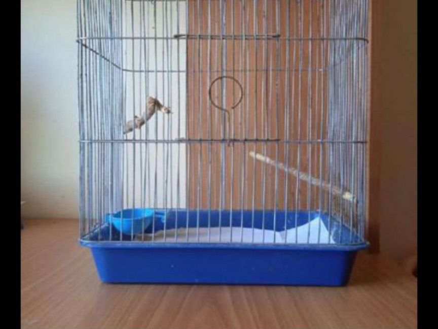 Клетка для попугая