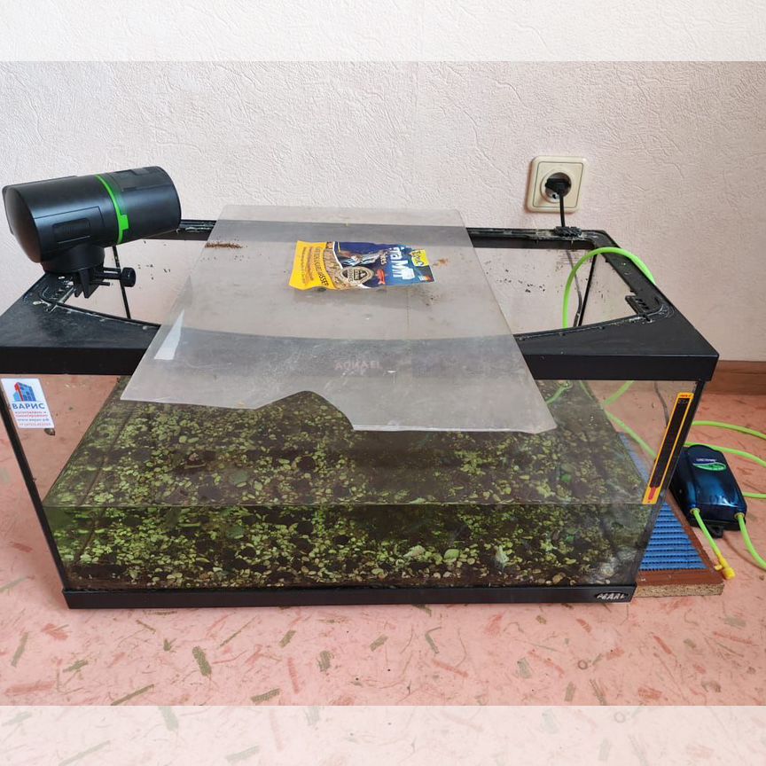 Аквариум с рыбками