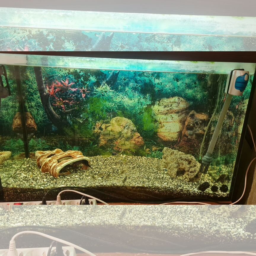 Аквариум