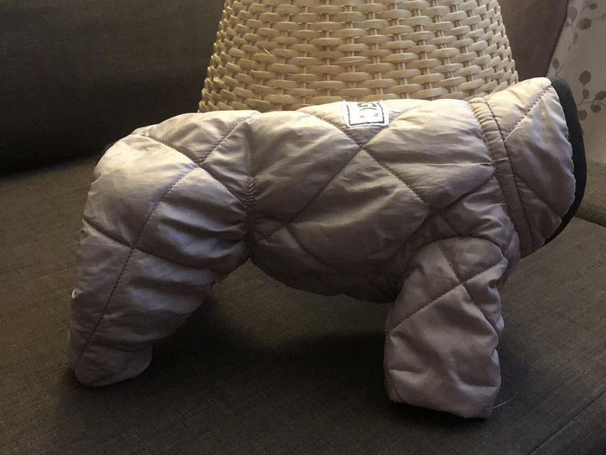 Комбинезон Glamcat собак для мелких пород