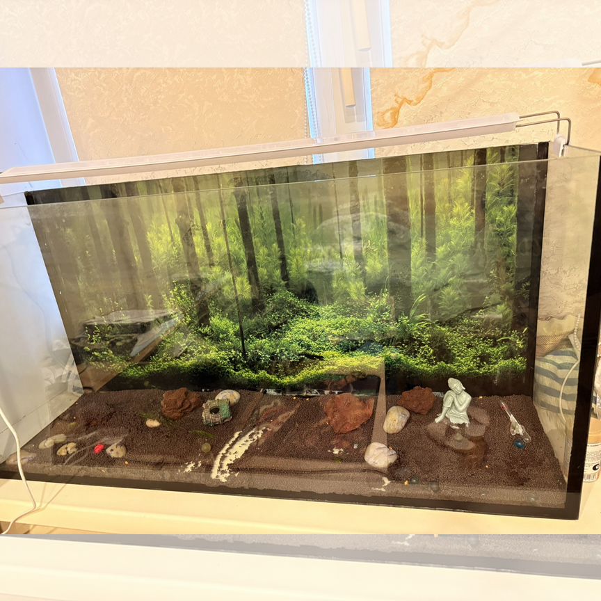 Аквариум(протекает