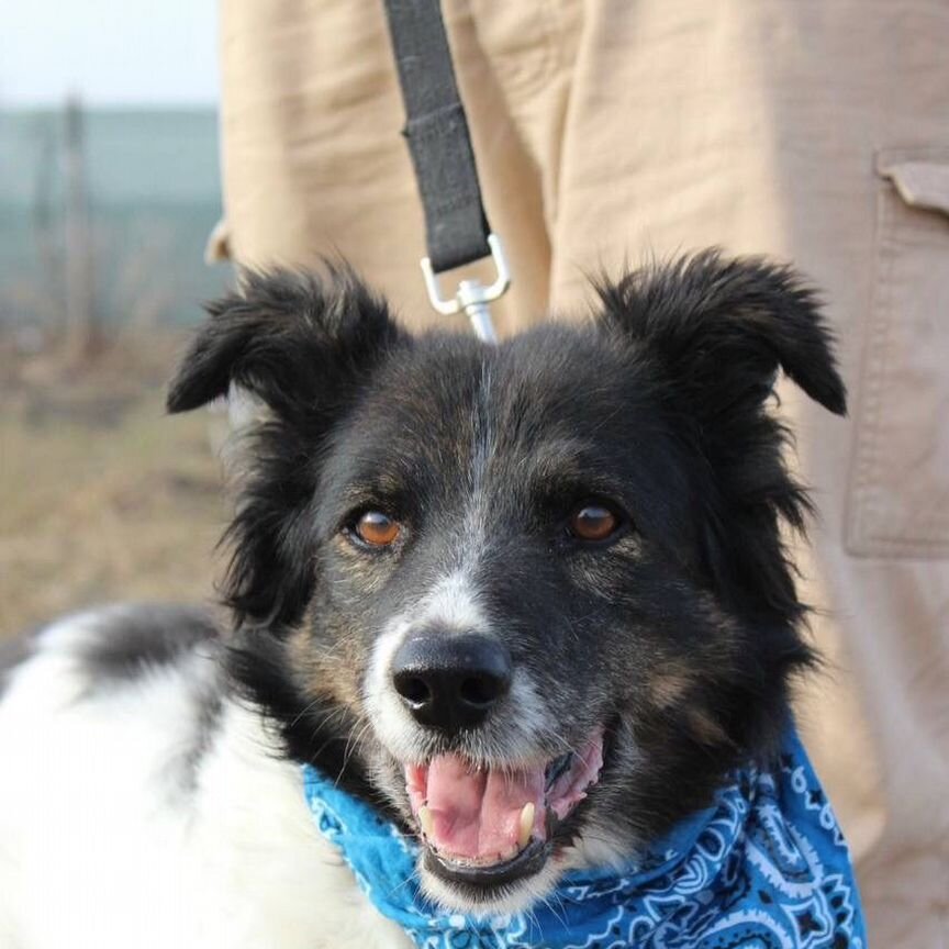 Ричи опять в приюте