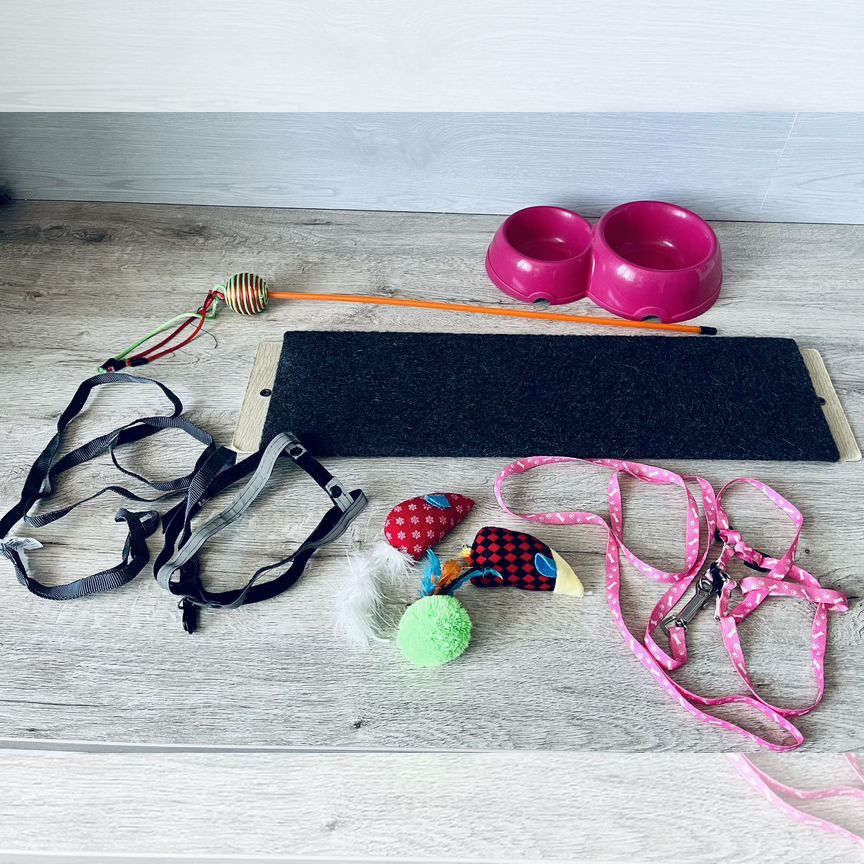 Кошачьи принадлежности