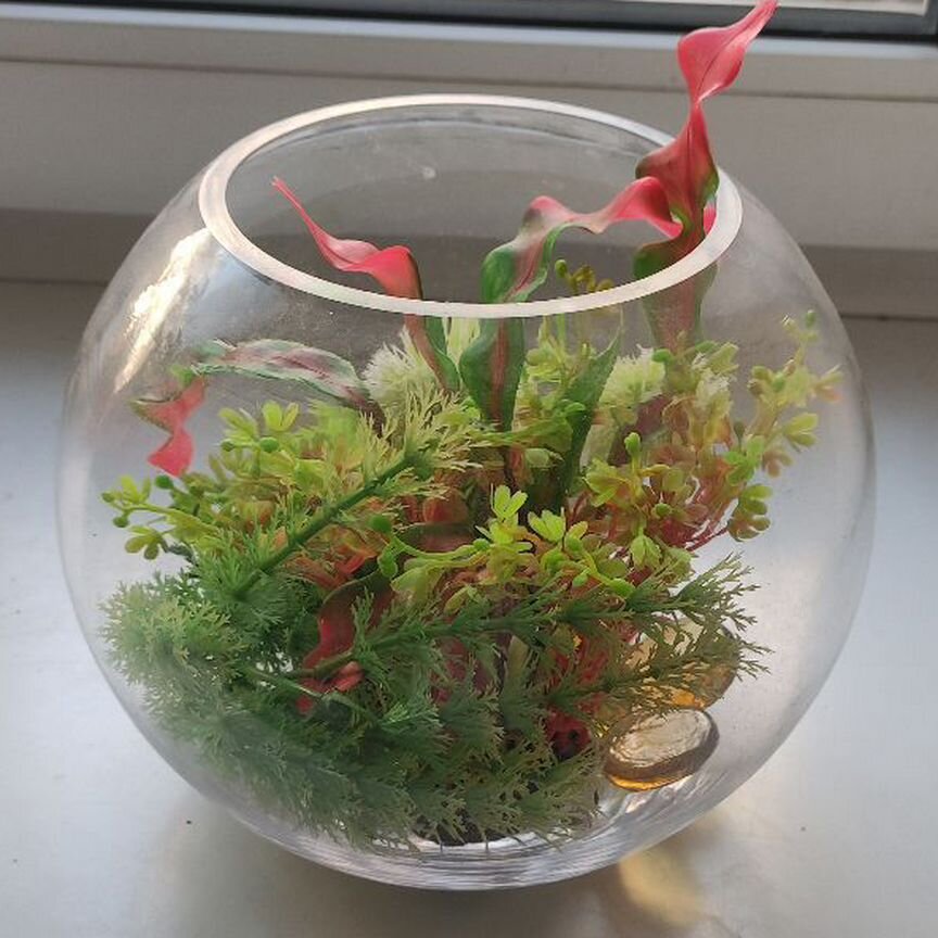 Аквариум шар