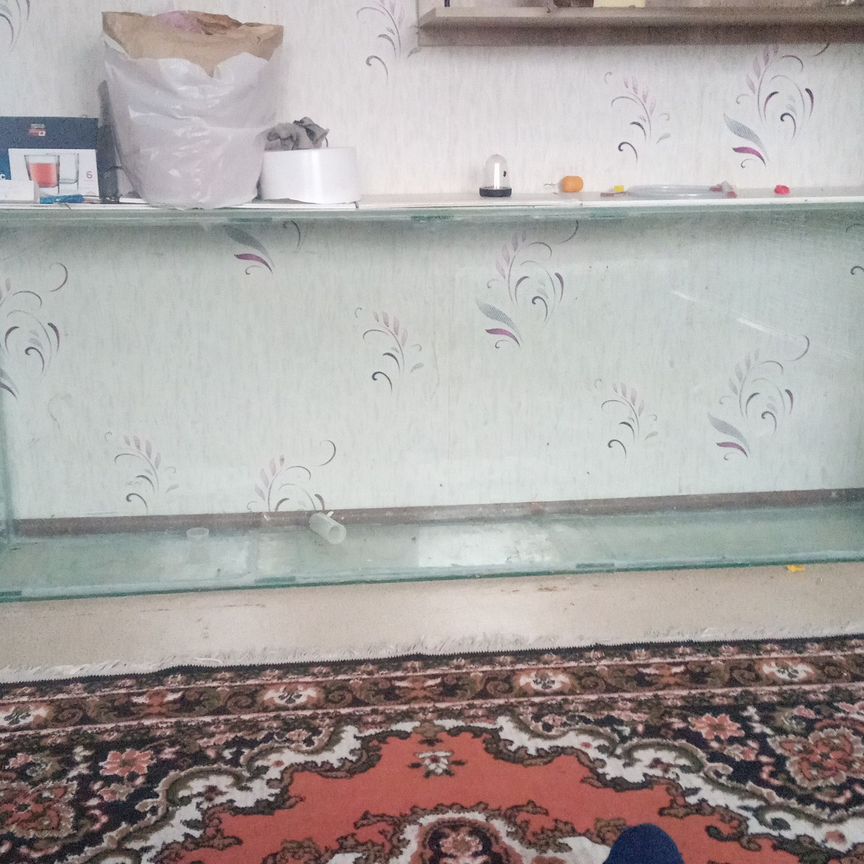 Большой аквариум