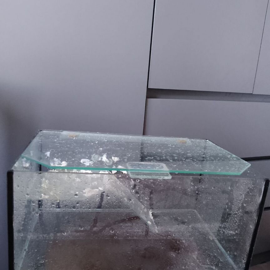 Аквариум для маленьких черепах