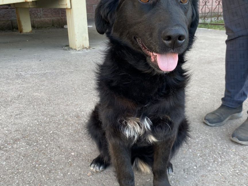 Стерилизованная девочка