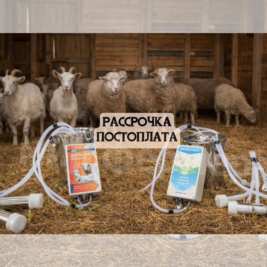 Доильный аппарат для коз портативный