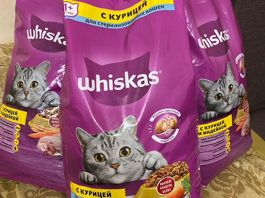 Сухой и влажный корм для животных