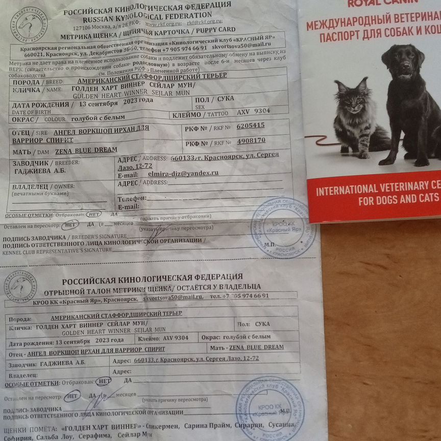 Продам собаку