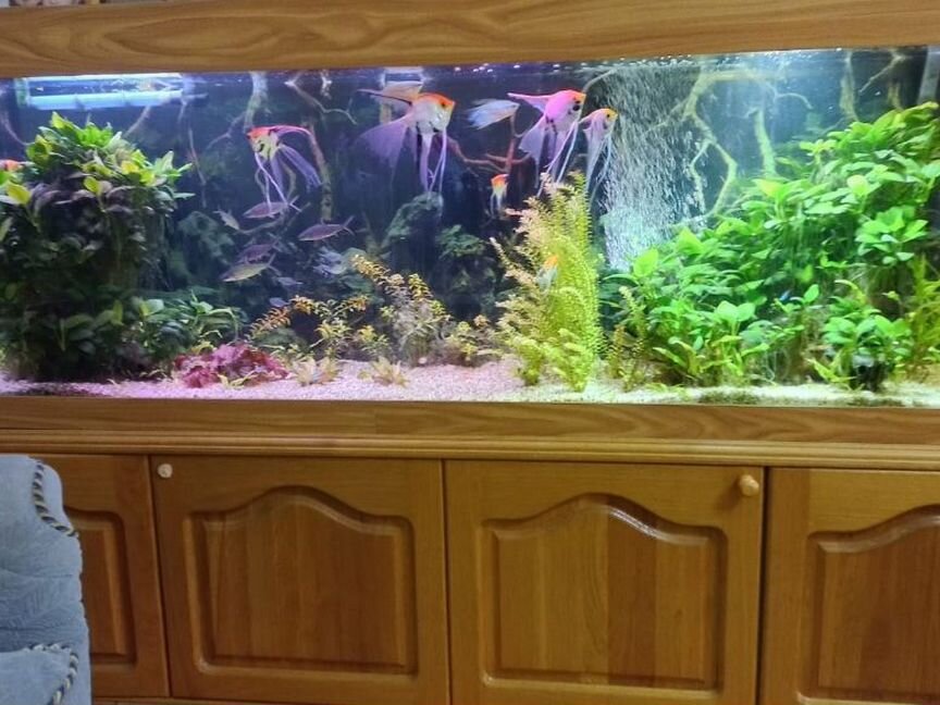 Аквариум с тумбой 540 литров