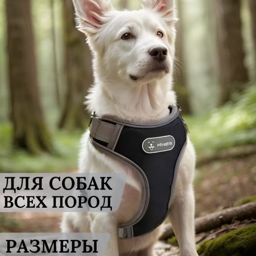 Прогулочная шлейка для собак размер М