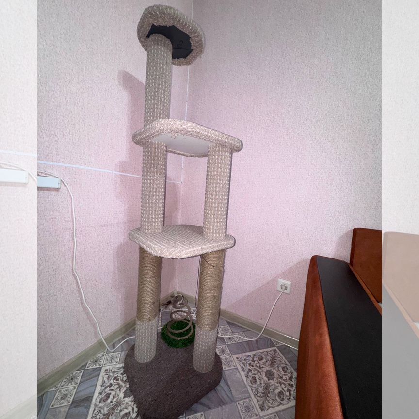 Когтеточка