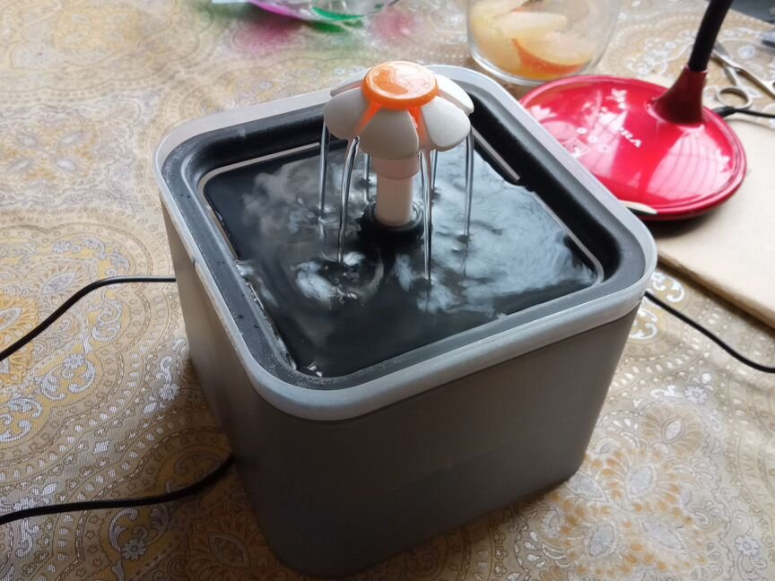 Лоток, фонтан поилка