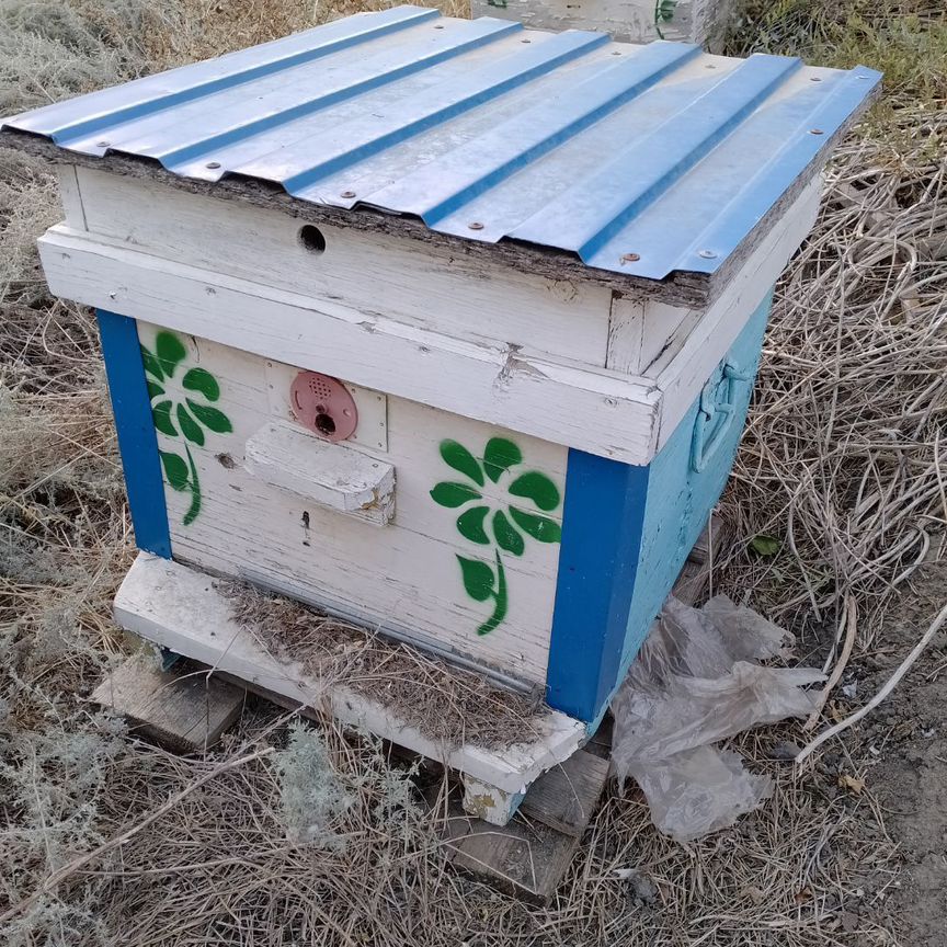 Улики для пчел