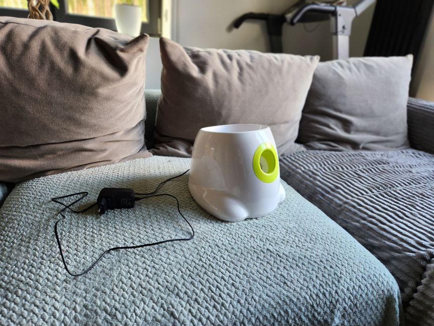 Катапульта для собак без мячей