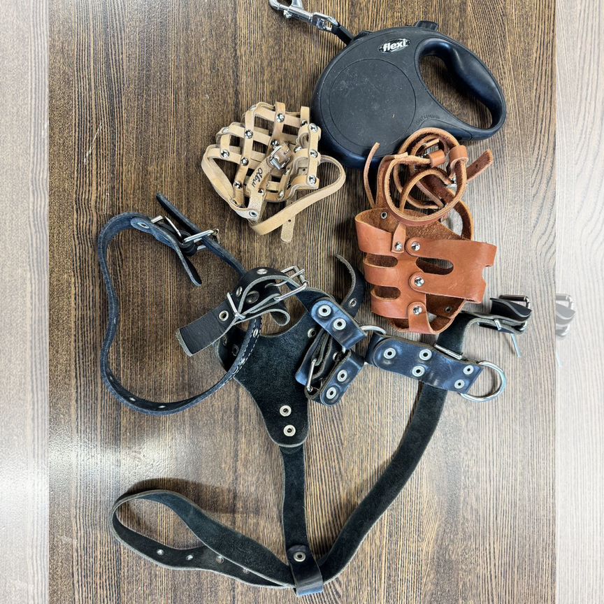 Шлейка для средней собаки