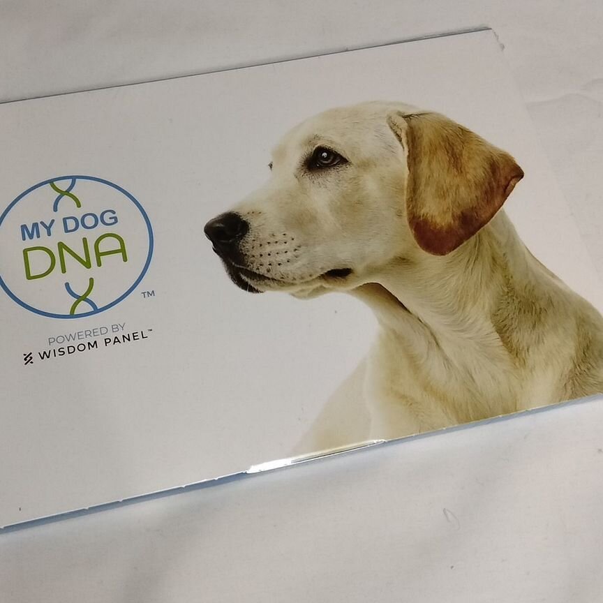 ДНК тест для собак My Dog DNA