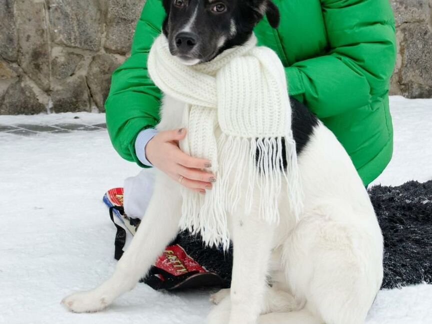 Малыш, 9 месяцев