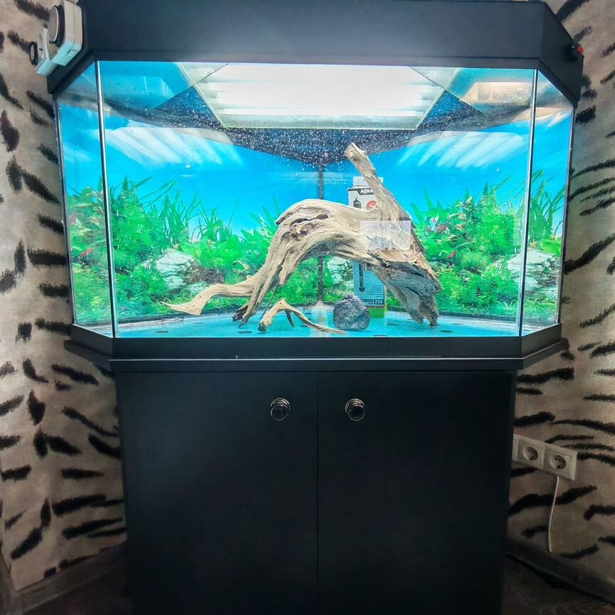 Аквариум с тумбой и оборудованием