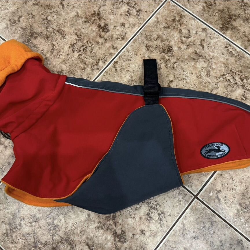 Одежда для уиппета