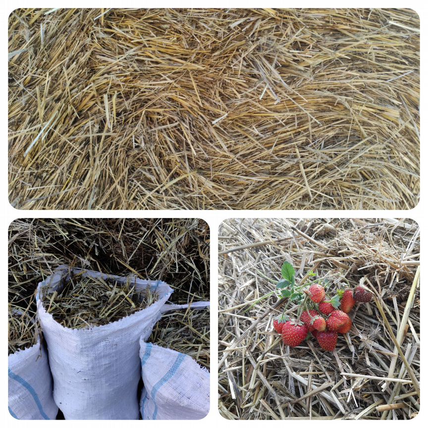 Солома в мешках