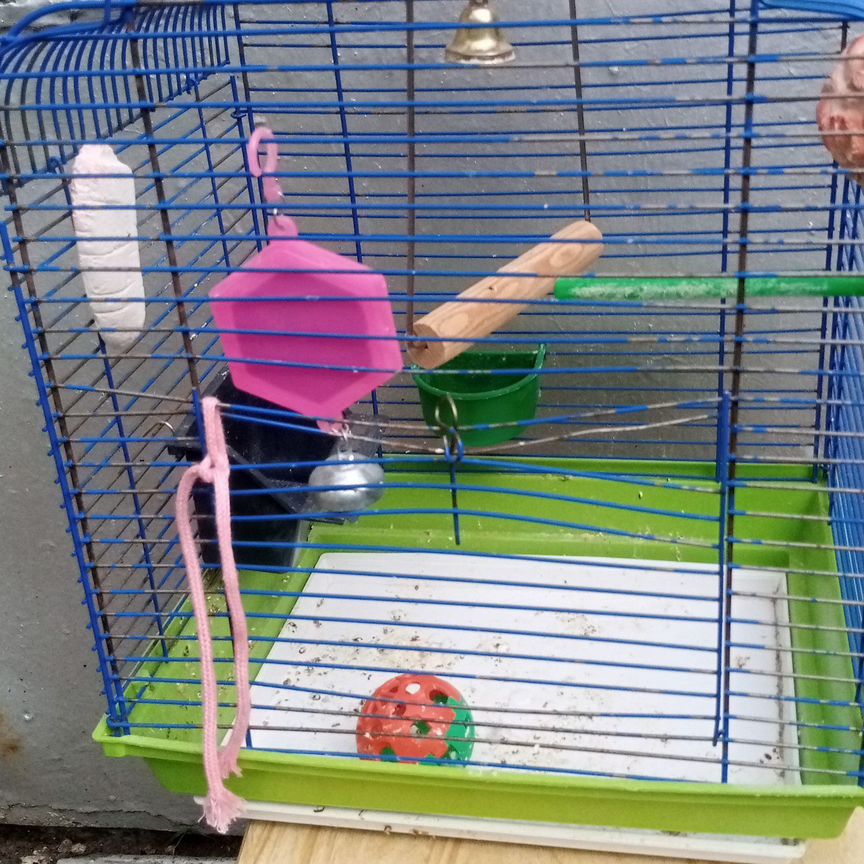 Клетка для птиц