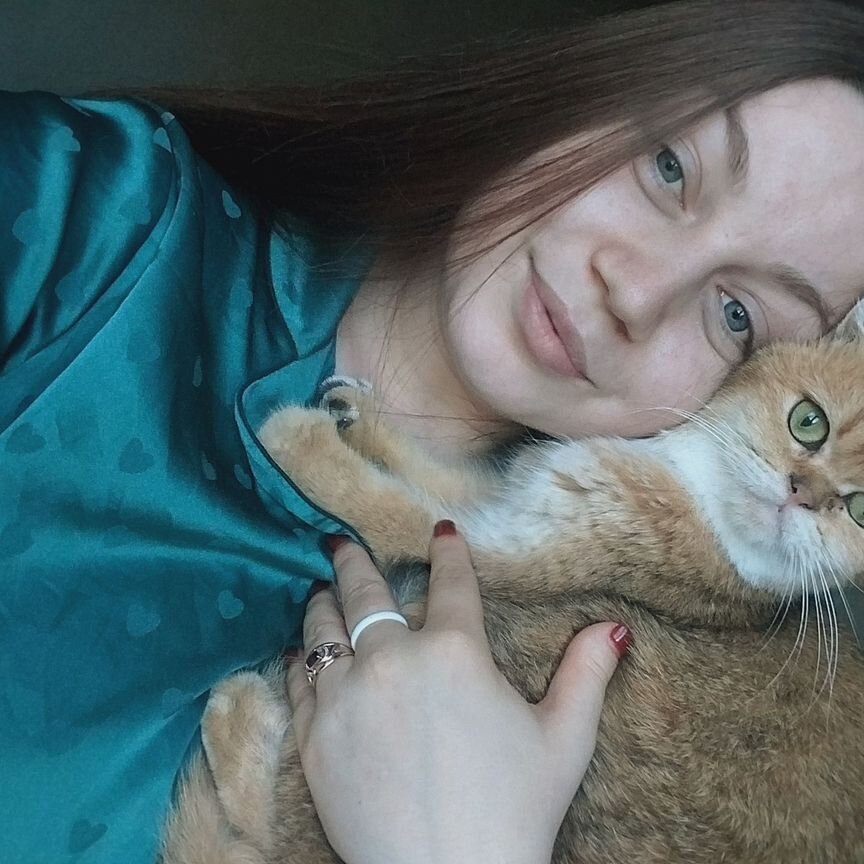 Золотая шиншилла вязка