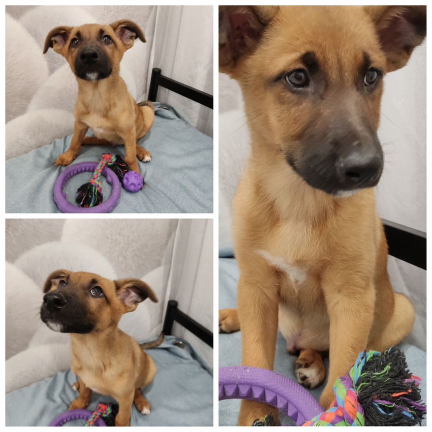 Малыш и его сестренка и братик с приюта