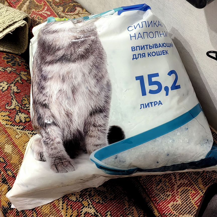 Селикогелевый наполнитель для кошачьего туалета