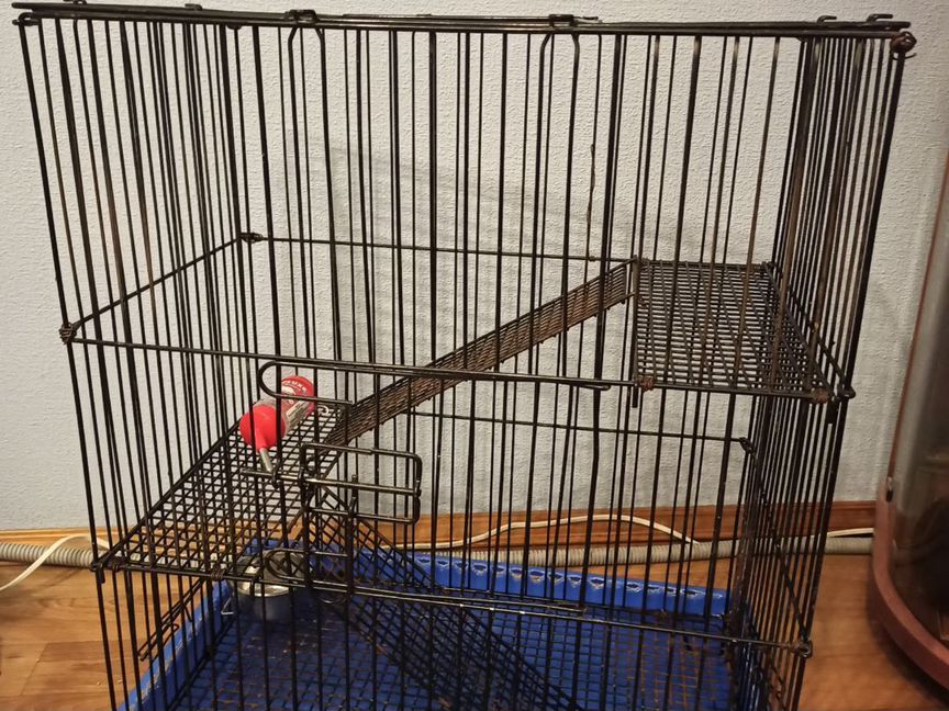 Клетка для грызунов большая