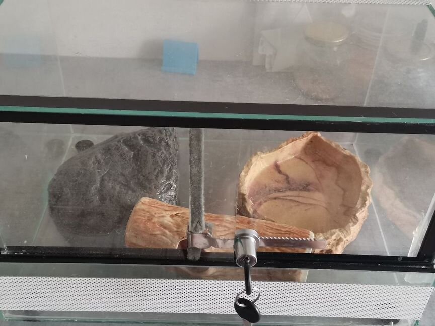 Террариум для змеи