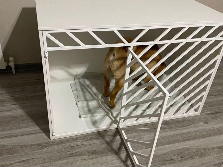 Домашний вольер