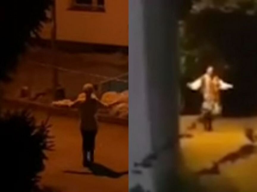 Продам сибирскую леди