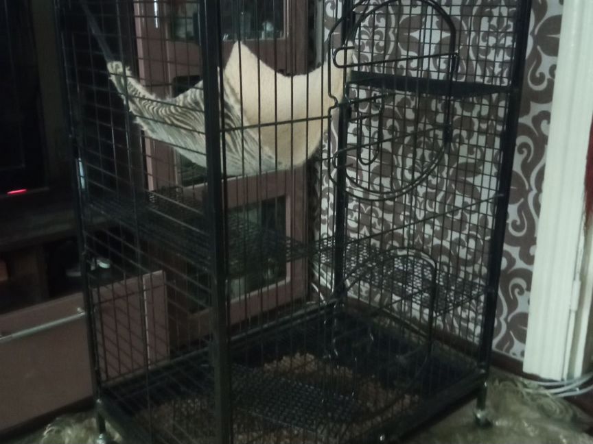 Клетка для шиншиллы бу