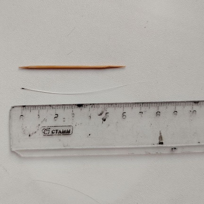 Кошачьи усы