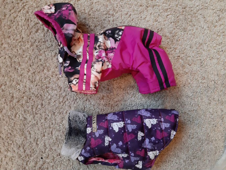Одежда для собак