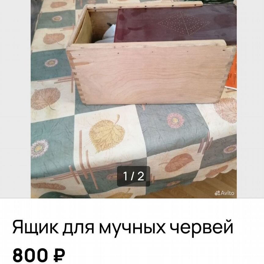 Ящик для разведения мучных червей