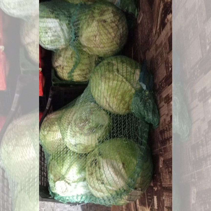 Овощи на корм животным