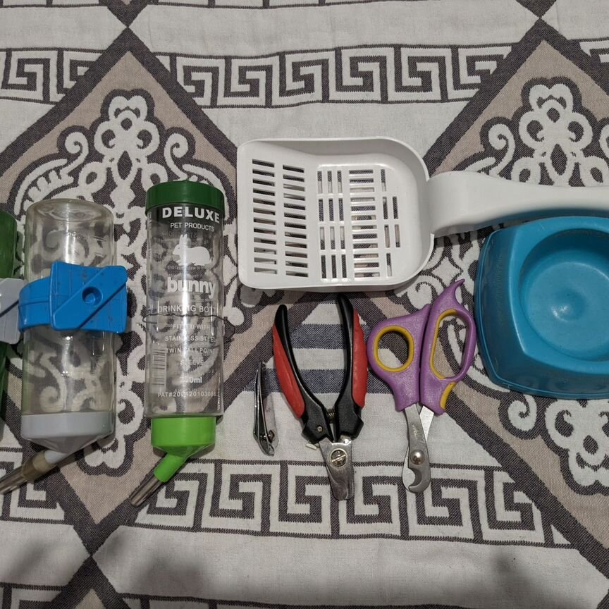 Аксессуары для морской свинки