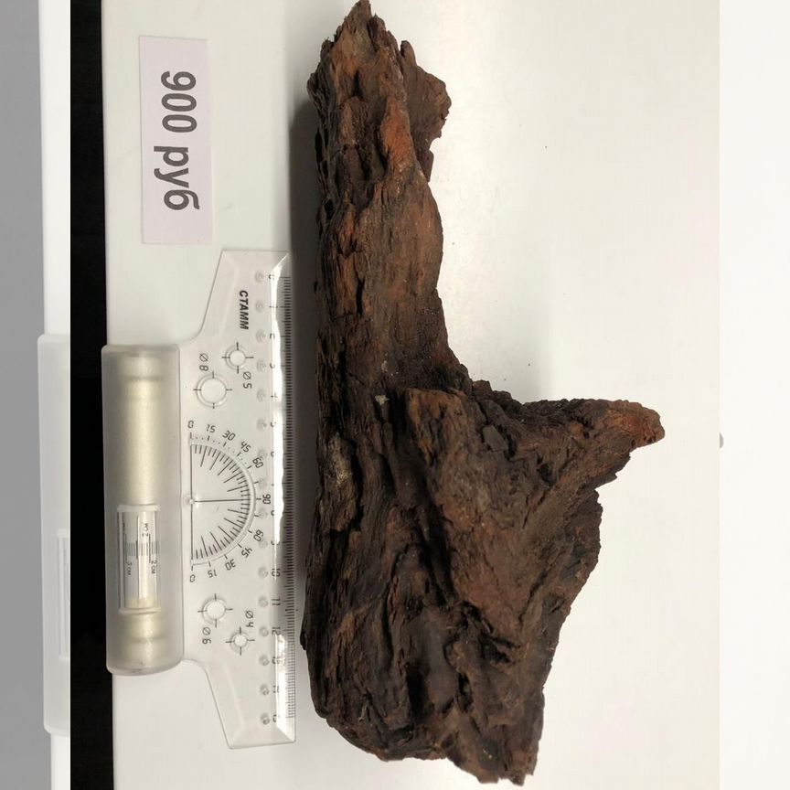 Коряга мангровая для аквариума террариума