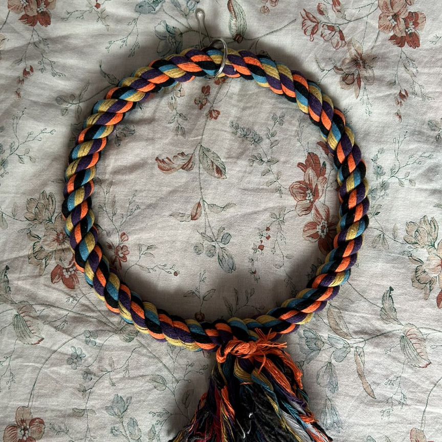 Кольцо для попугая